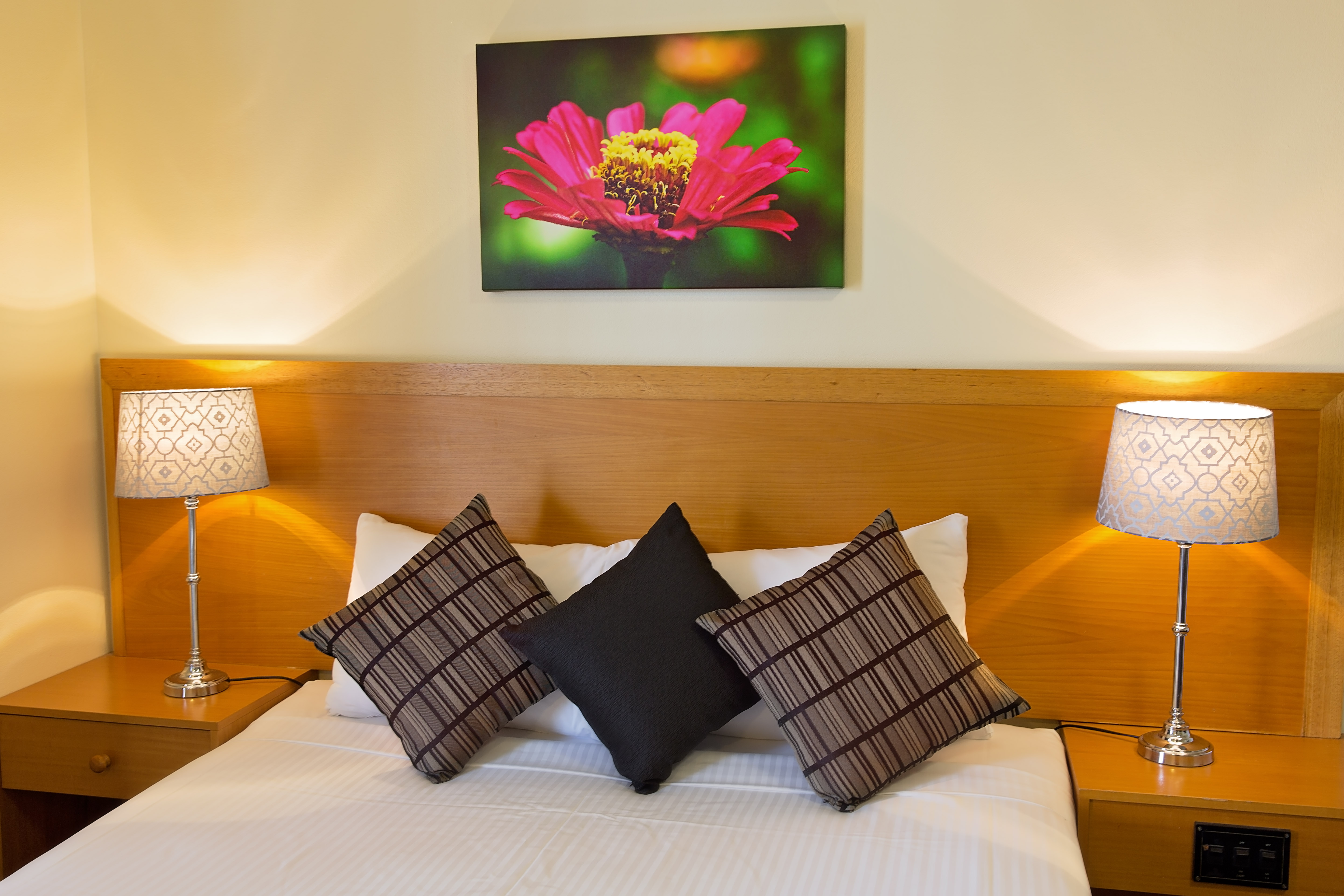 Accommodation - Mackay | White Lace Motor Inn