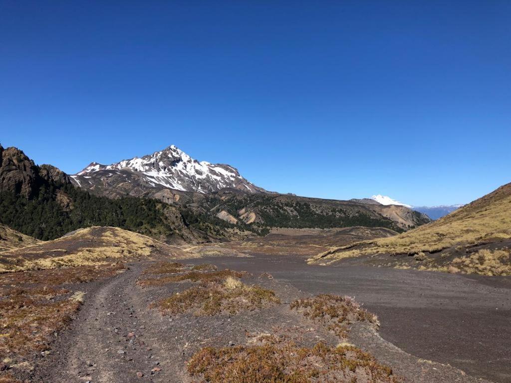 Galería de fotos | CALMA