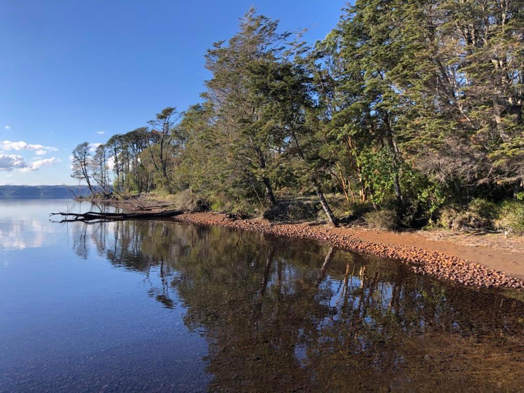 Galería de fotos | CALMA