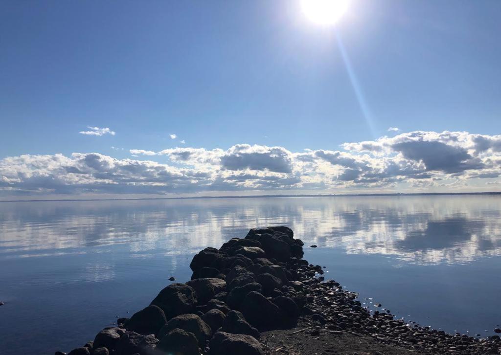 Galería de fotos | CALMA