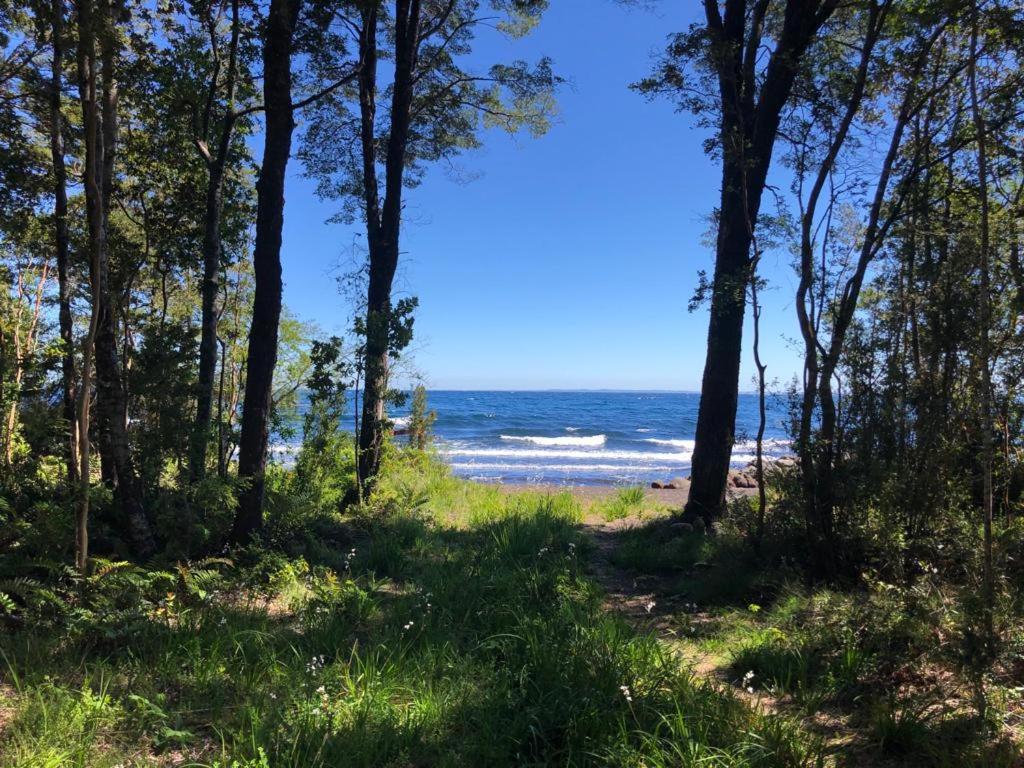 Galería de fotos | CALMA