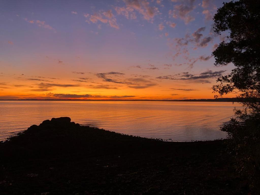 Galería de fotos | CALMA