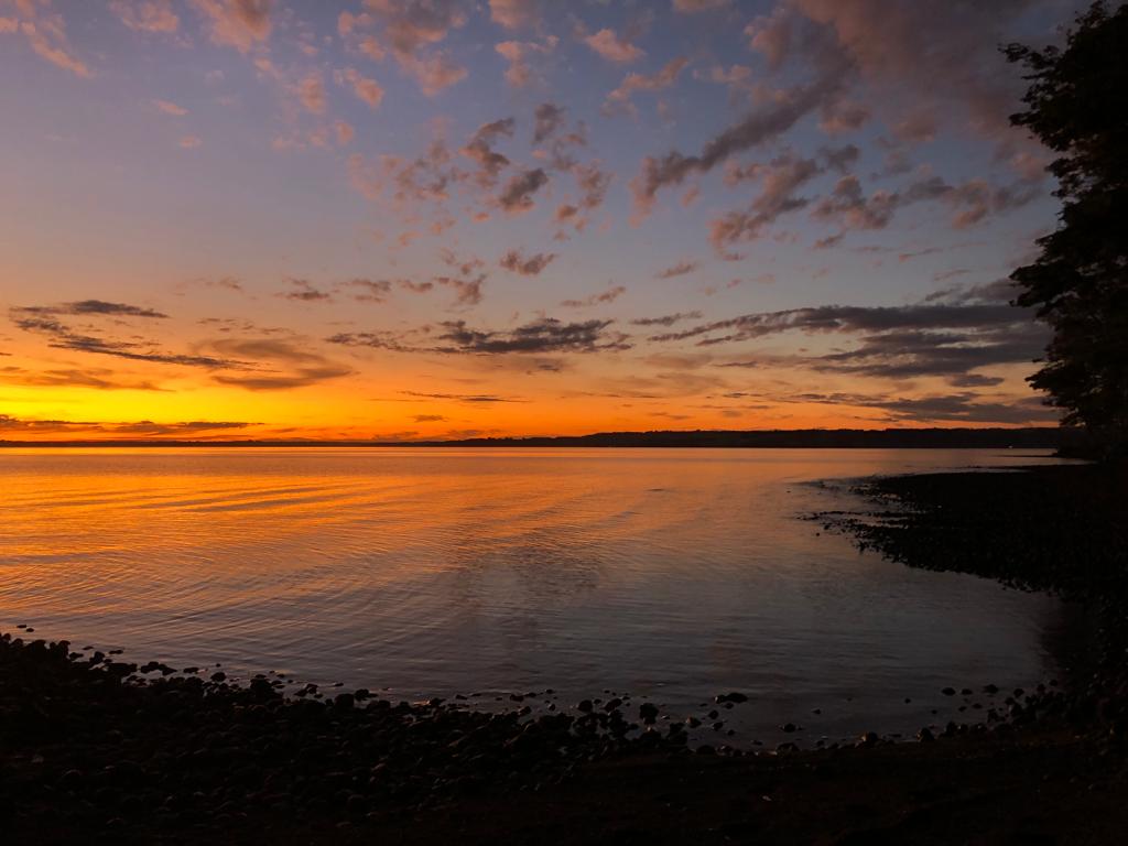 Galería de fotos | CALMA