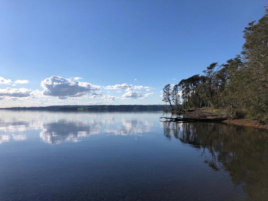 Galería de fotos | CALMA