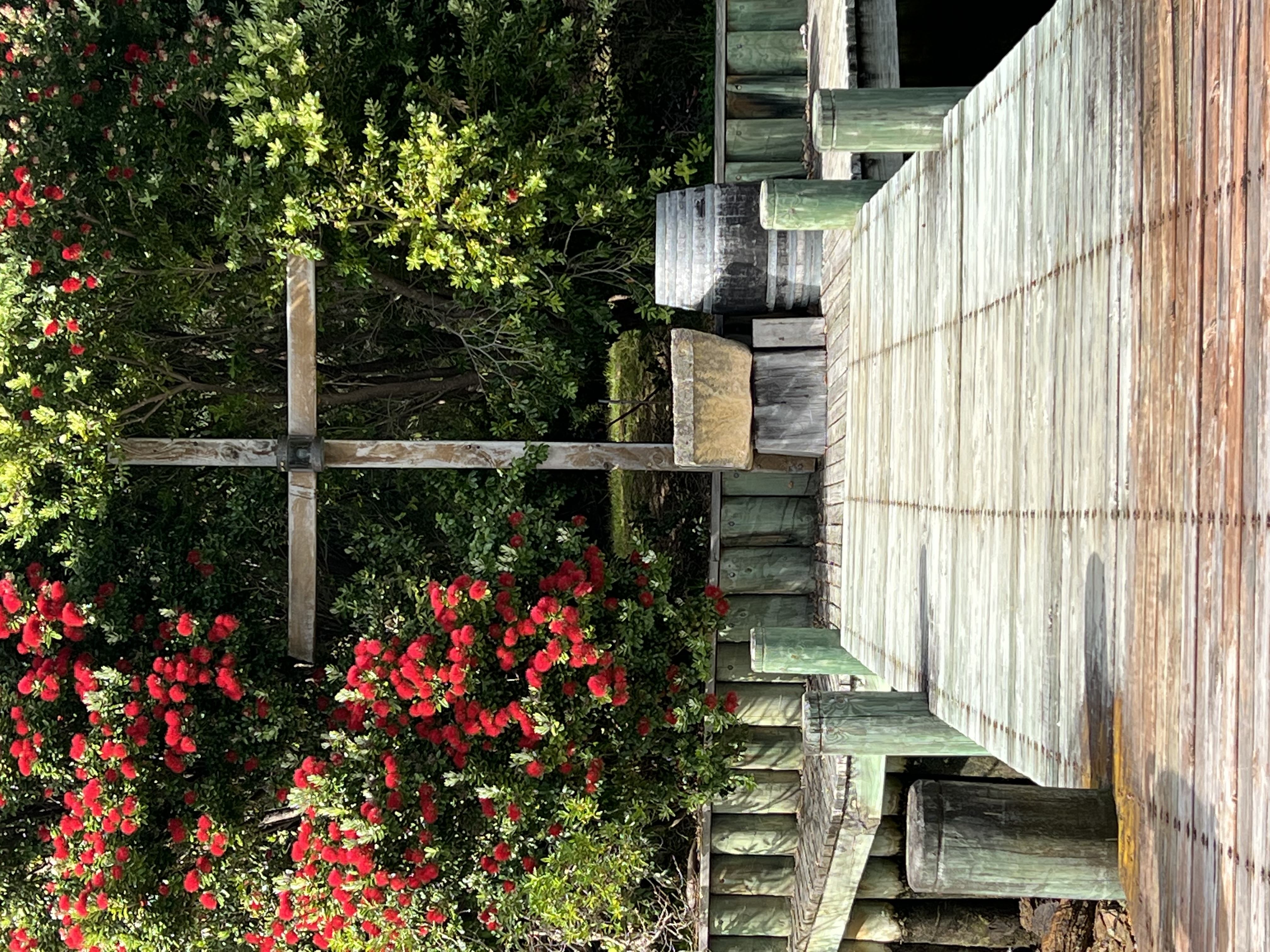 Home | Waterfall Bay