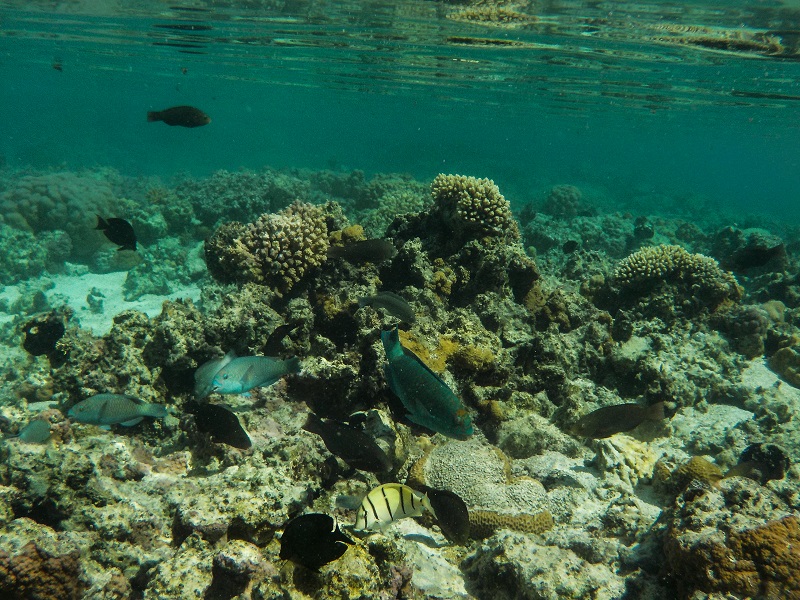 Home | Sunset Resort - Rarotonga, Cook Islands