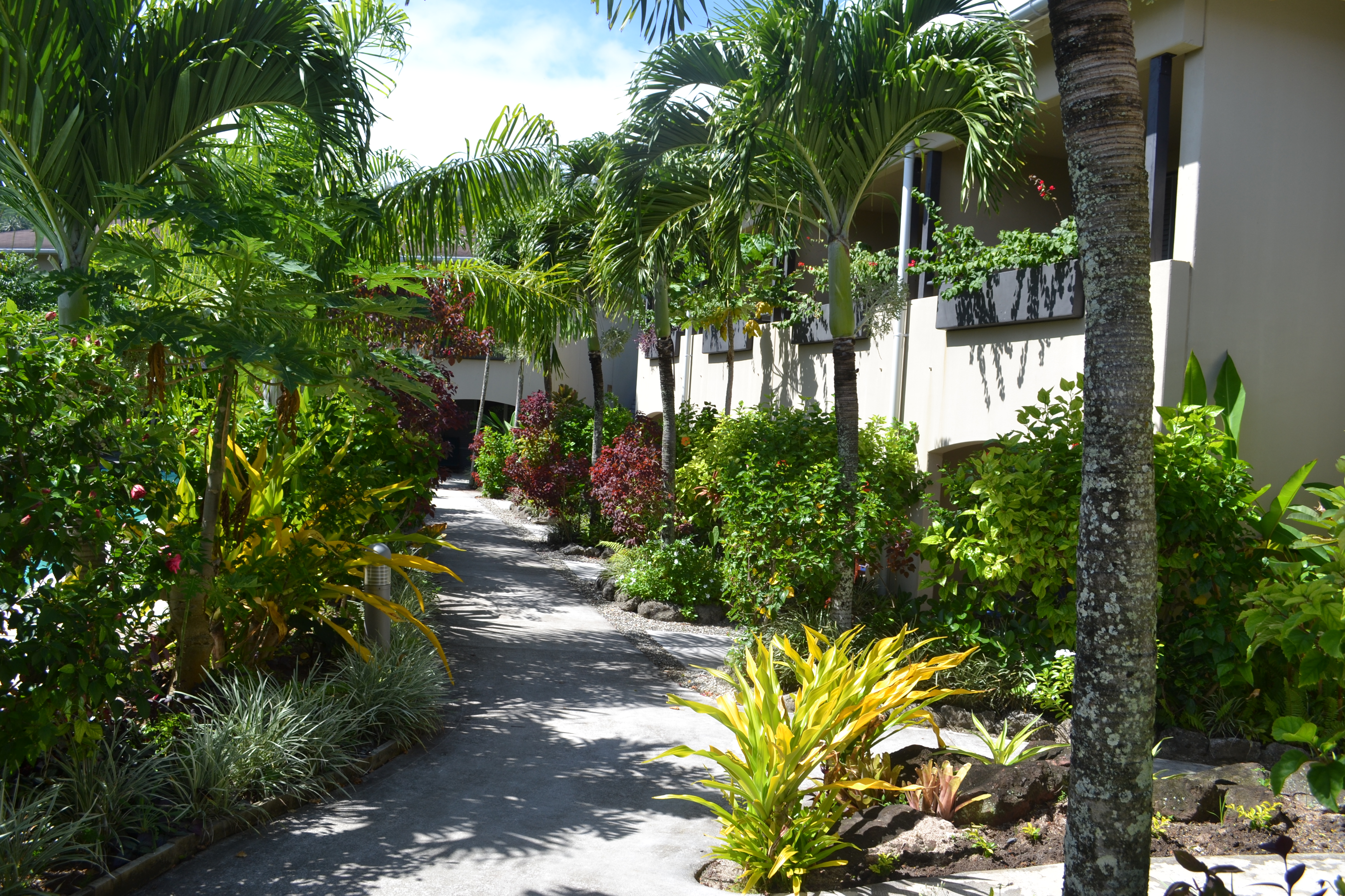 Gallery | Sunset Resort - Rarotonga, Cook Islands
