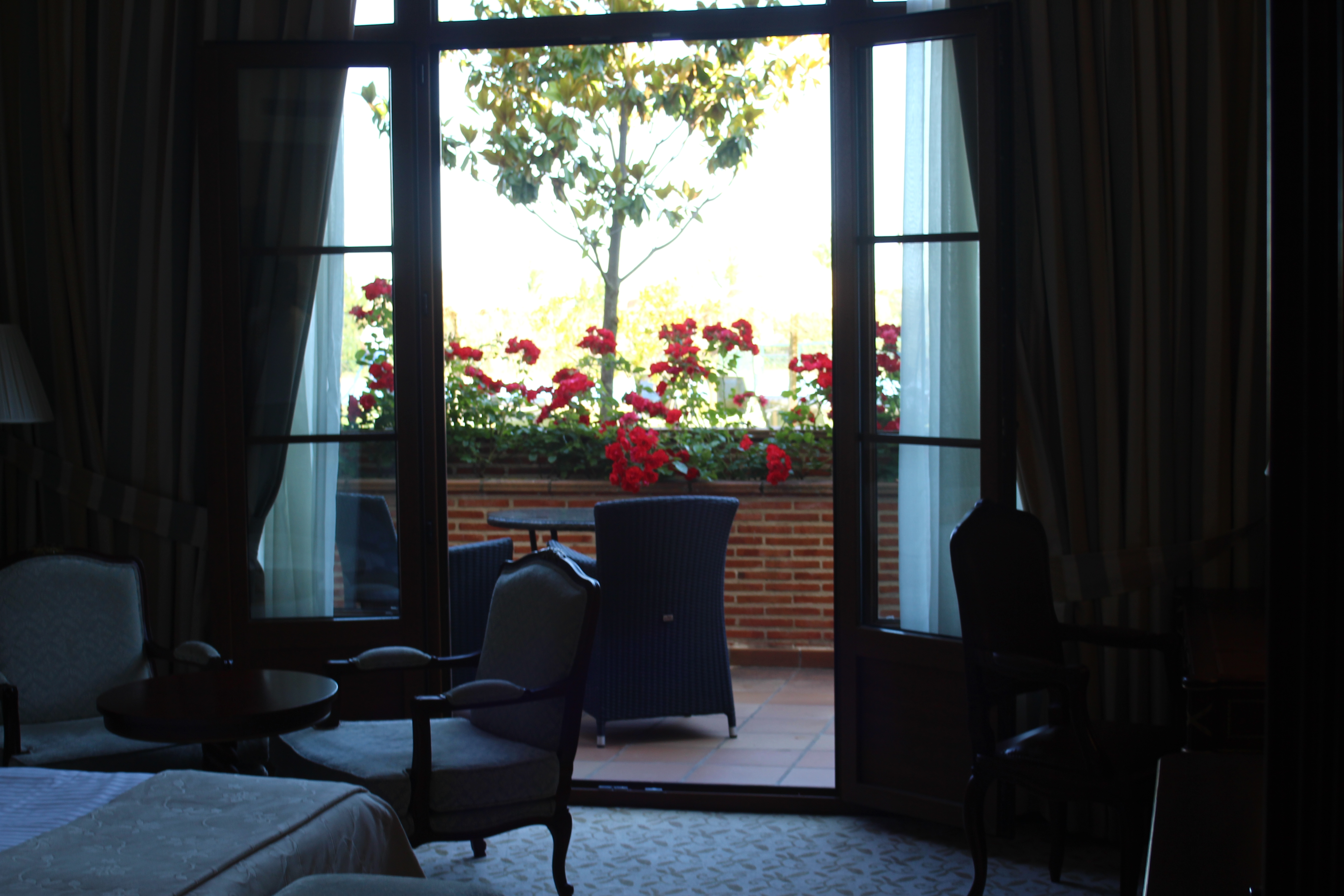 Home | Hotel Cándido