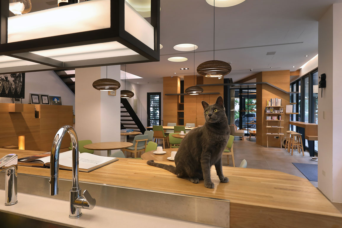 DORIS HOME｜Sun Moon Lake｜ | DORIS HOME Bed & Breakfast