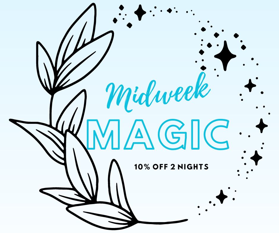 Midweek Magic | Ocean 7 Motel