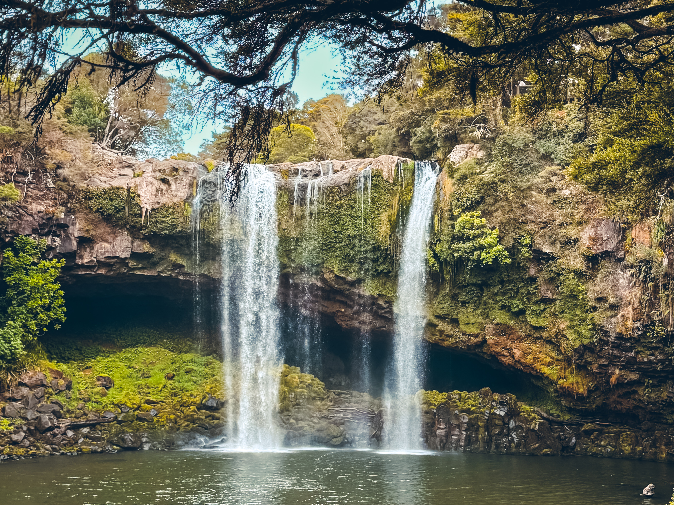 Top Hikes near Avalon Resort | Scenic Trails in Kerikeri | Avalon Resort
