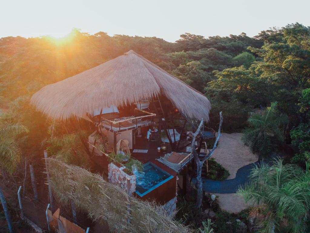 Home | Satori Zen Club