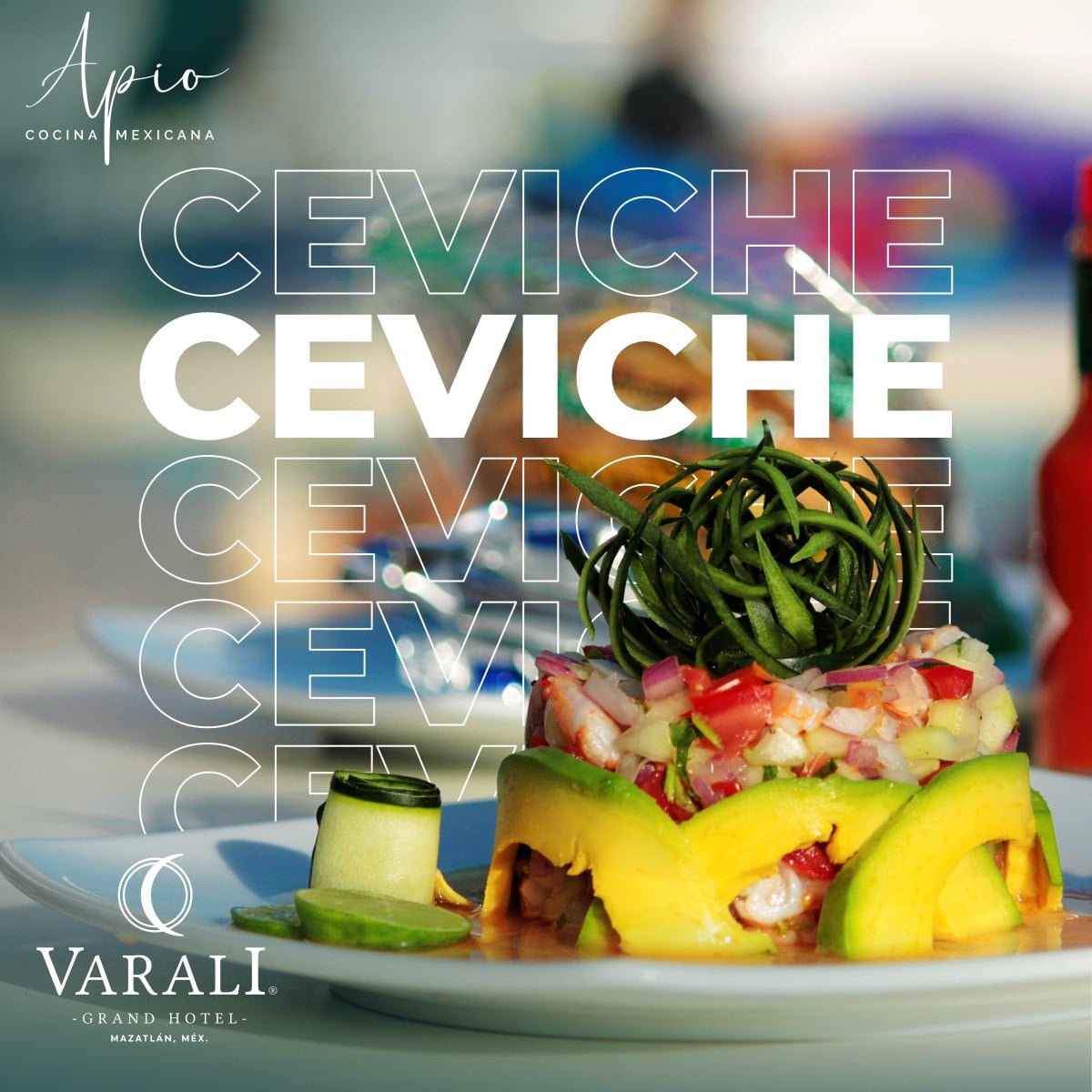 Galería de fotos | Varali Grand Hotel