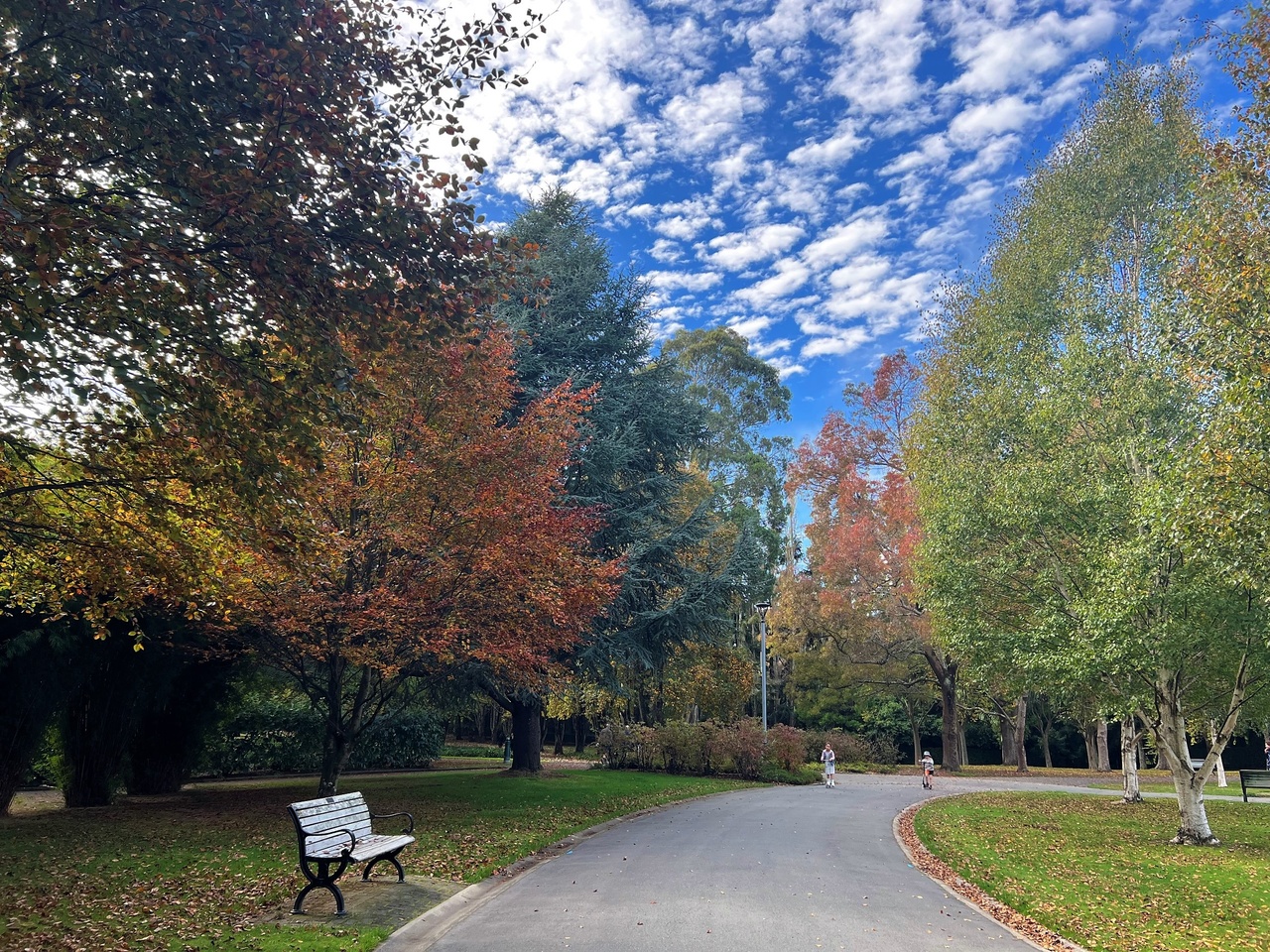 Attractions | ASURE Surrey Court Motel